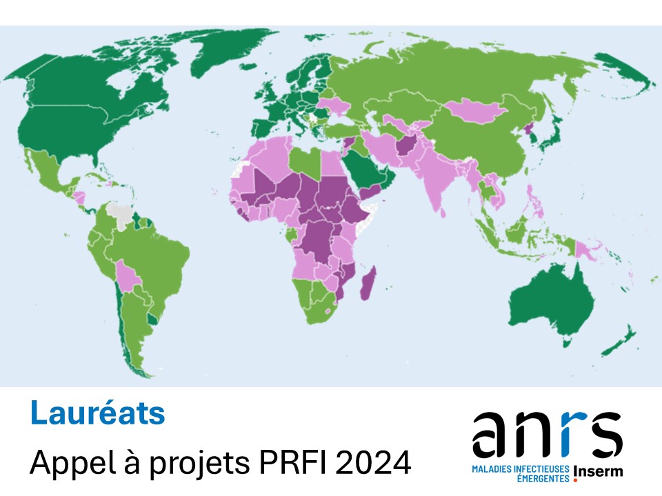 Projets lauréats de l’appel à projets Émergences PRFI 2024